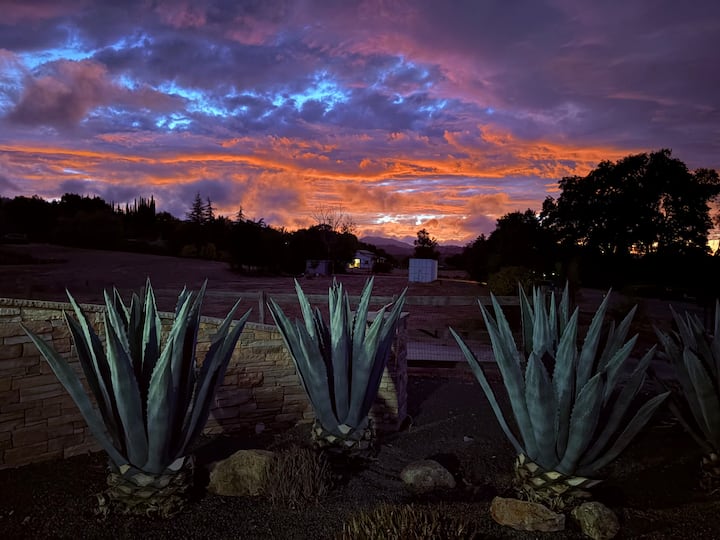 Horse Country Casita - Atascadero, CA