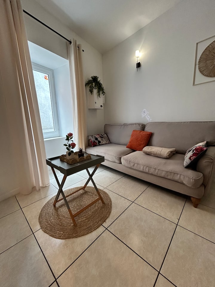 Maison De Village 3 Chambres - Limoux