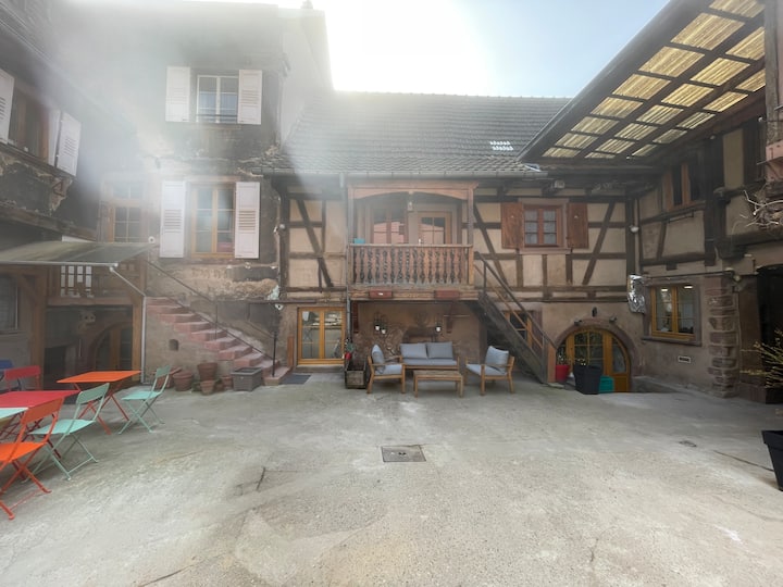 Chez Mamema - Katzele Et Misele - Obernai