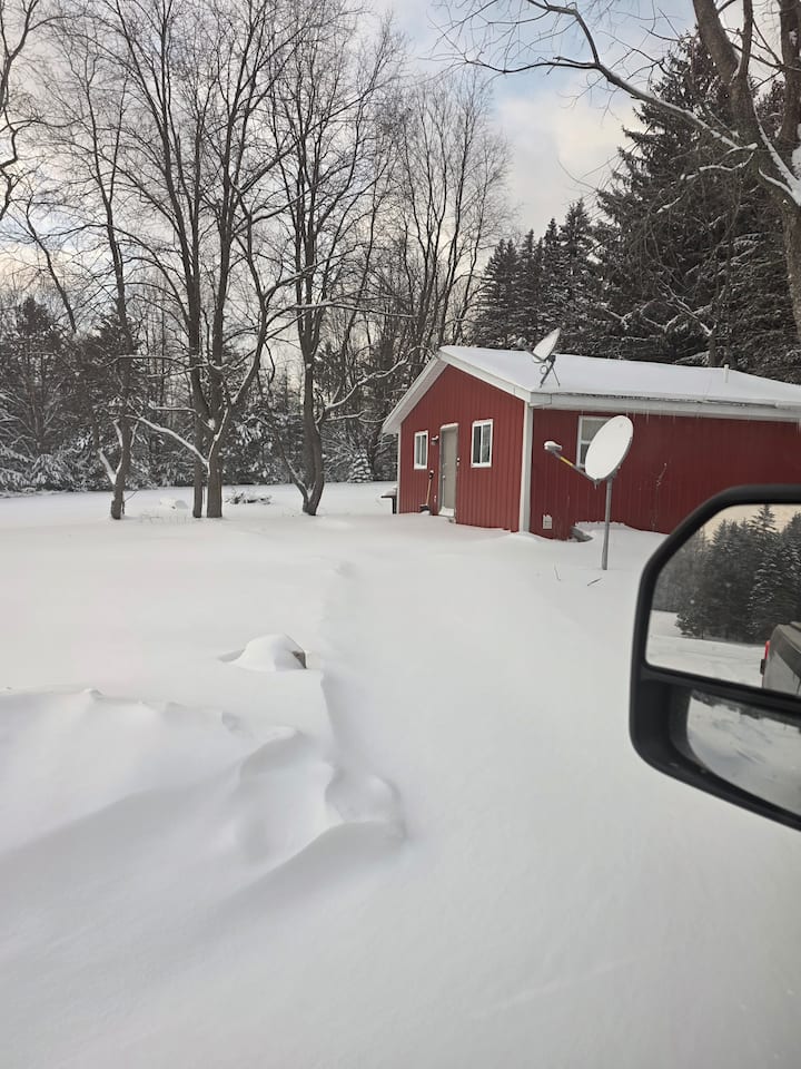 Little Cabin On Five Acres - Tustin, MI