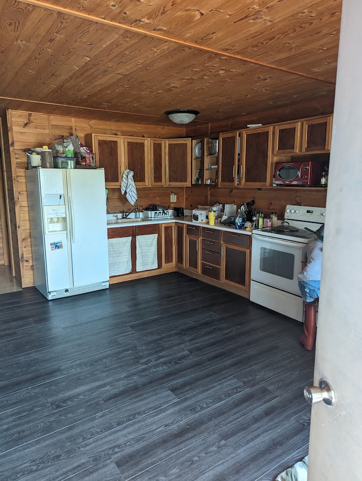 Little Cabin On Five Acres - Tustin, MI