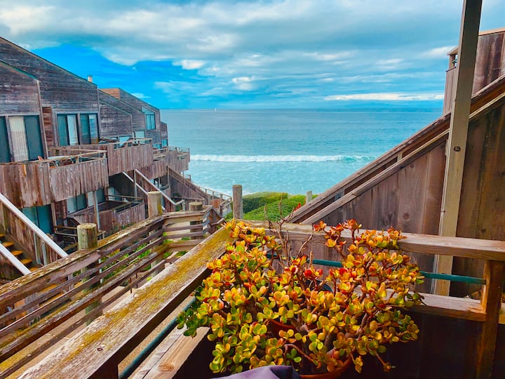 You Won't Want To Leave! - Monterey State Beach, CA