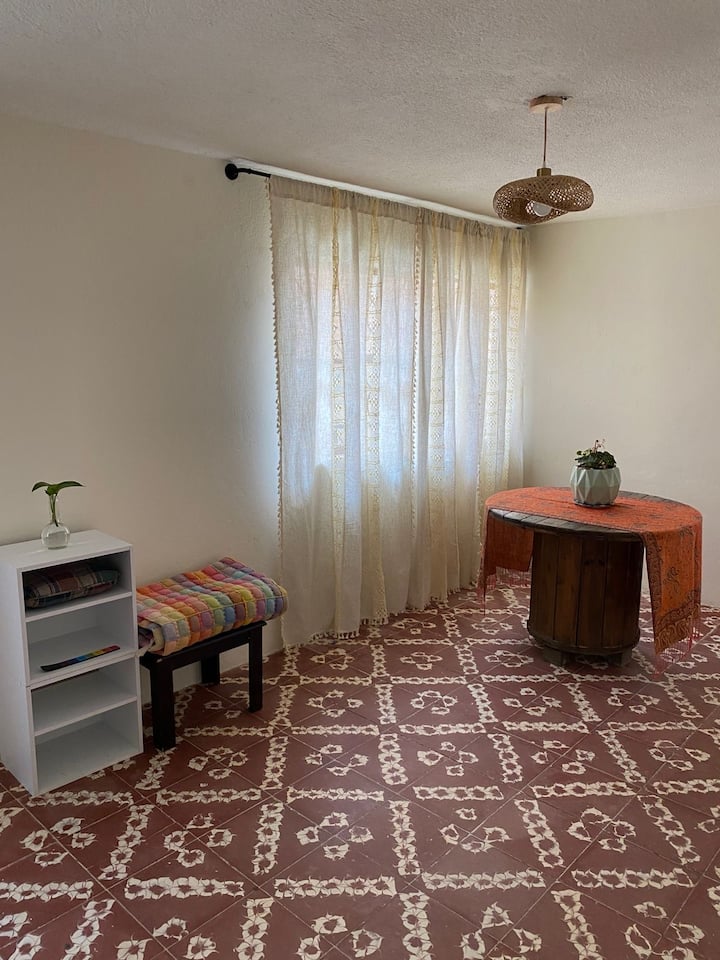 Casa Vinilo Amealco Centro - Querétaro