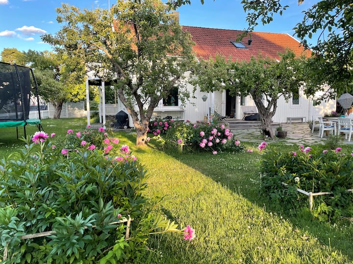 Skärgårdshus Med Lummig Trädgård Vid Havet - Gustavsberg