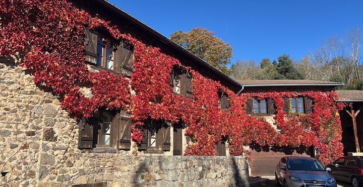 Les Angély - Thiers