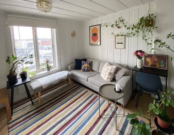 Charming Apartment Near City Center - Oslo