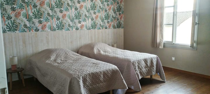 Maison Rénovée 8 Personnes -Clim- Marais Poitevin - Coulon