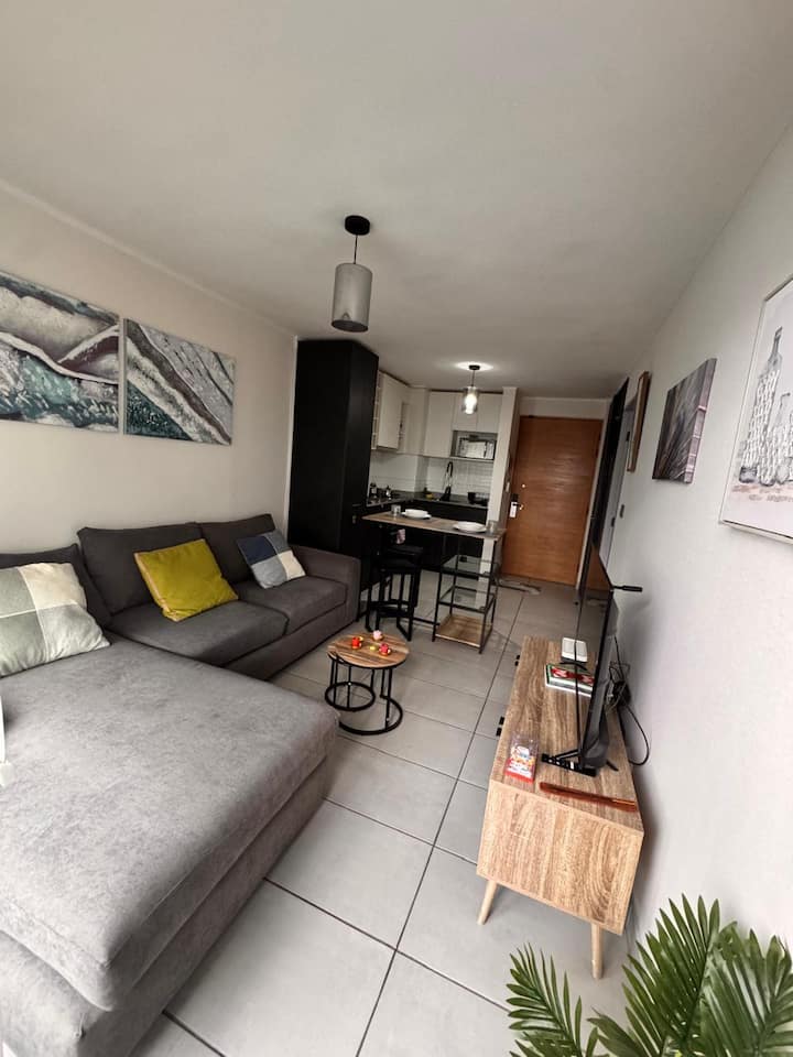 Comfortable And Modern, With Parking. Very Safe. - Concepción, Chile