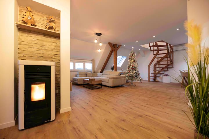 Chaleureux Duplex à 8 Km Du Parc D'attraction - Rhinau