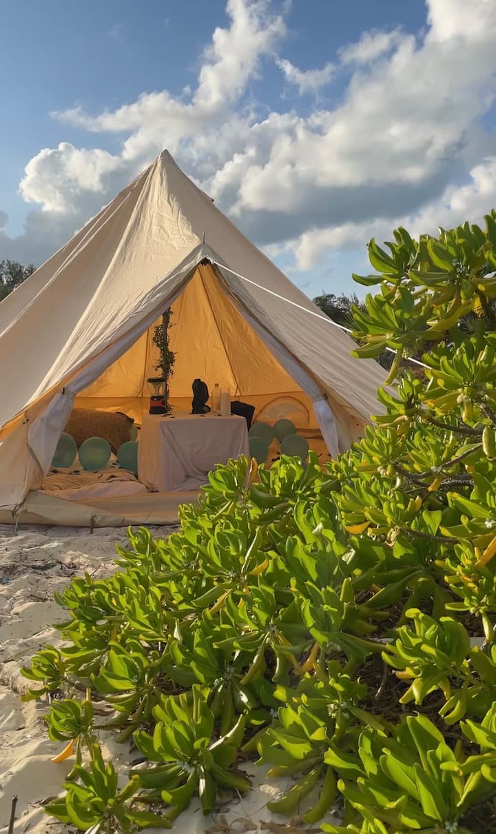 Beachfront Camping Tent Adventure - Bahamas