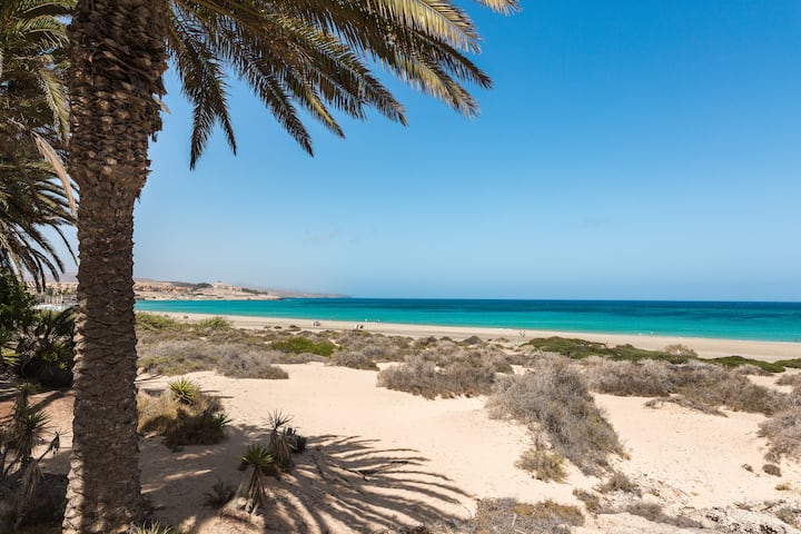 Home2book El Cotillo Blue Horizon Duplex - El Cotillo