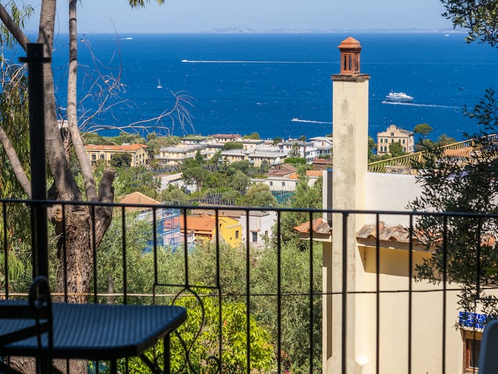 De Vivo Realty - Ulivi Apt Sorrento - Sorrento