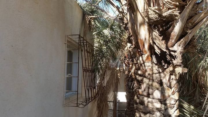 Restaurant Jilaine Chambre D'hôtes - Tunisia