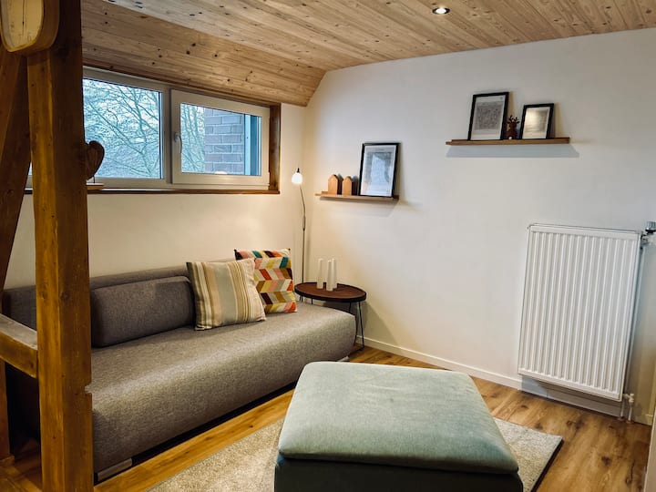 Ferienwohnung Bietingen - Schaffhouse