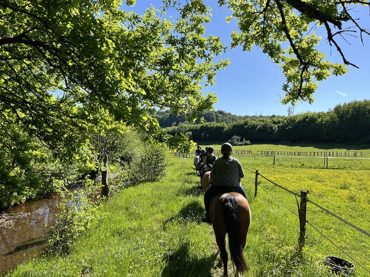 Gîte En Pleine Nature - Sedan