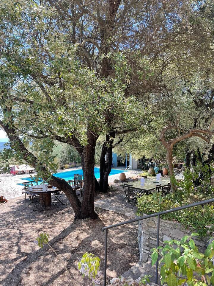 Villa Provençale Avec Vue. Piscine. Clim. 10 Pers - Lorgues