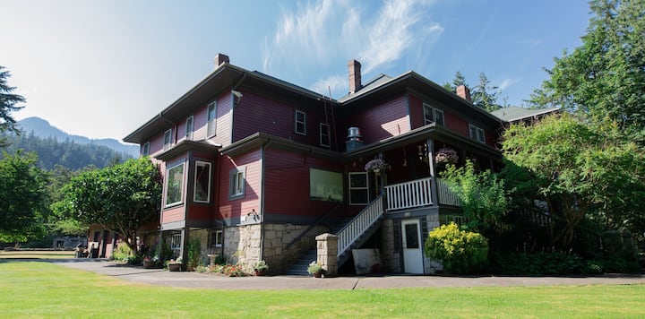 Where Ancient Forests Whisper Stories Sasquatchcel - British Columbia