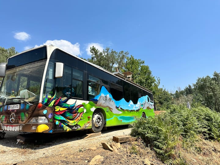 12 Meter Linienbus/schulbus Jetzt Luxus Tinyhouse - 마데이라 제도