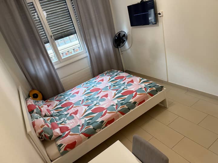 Studio Centre Ville - Geneva