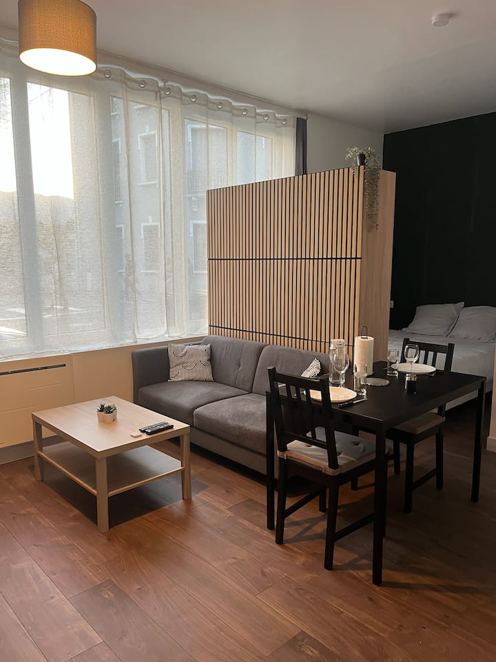 T1 Bis Façon Loft Proche Du Centre Et Du Lac - Aix-les-Bains
