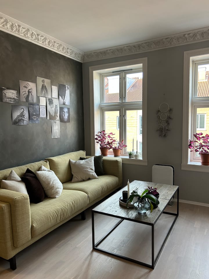 Leilighet På Grünerløkka, Oslo - Oslo