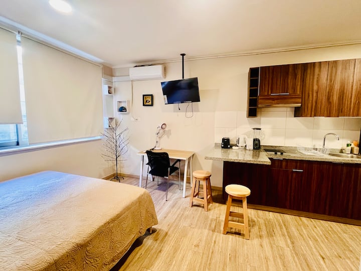 Acogedor Y Céntrico Departamento - Chile