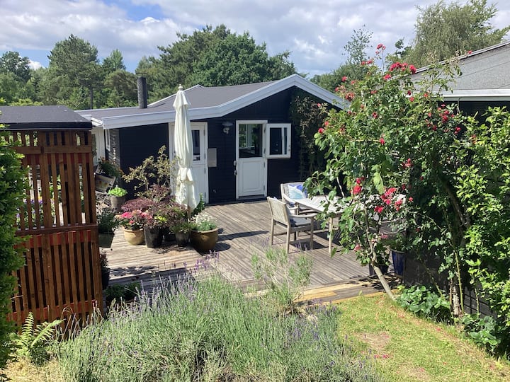 Hytte Tæt Ved Skov Og Strand - Privat - Denmark