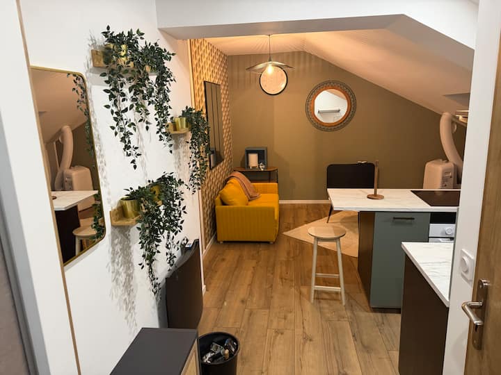 Magnifique 2 Pièces - Thionville