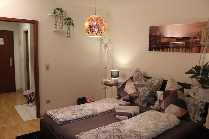 Comfortable Apartment On Elbe River - Dresden