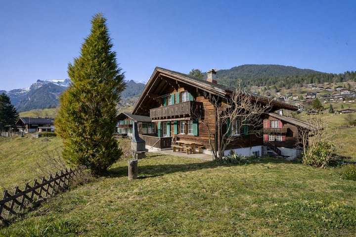 Cozy Traditional Chalet, Stunning Mountain Views - Grindelwald
