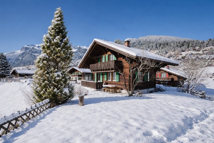 Cozy Traditional Chalet, Stunning Mountain Views - 그린델발트