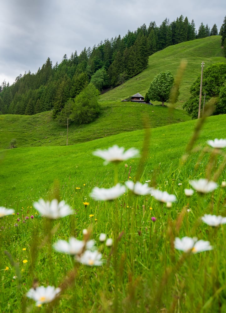 Berghüttli, Klein Aber Fein In Der Natur. - Suisse