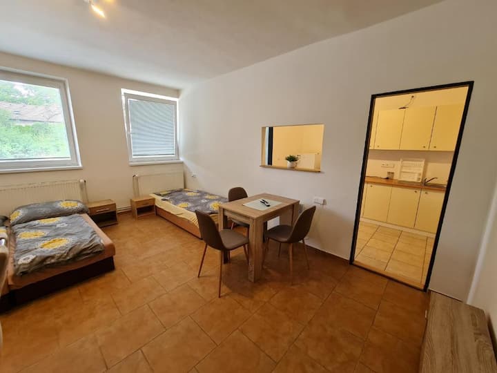 Nika Beds - Třílůžkový Pokoj Comfort Se Sprchou - Pardubice