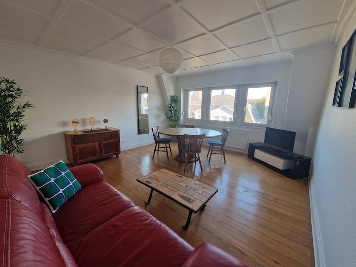 F3 Lumineux - 2 Chambres - Centre Ville - Mulhouse