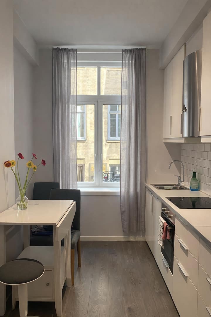 Prime Location_city Center _1 Bedroom New Bathroom - Oslo