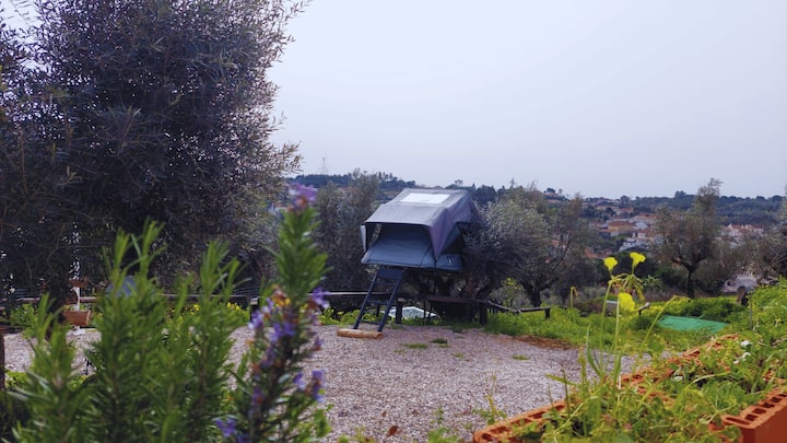 N2 Overlanderlodge - Olive Tree Tent - Abrantes