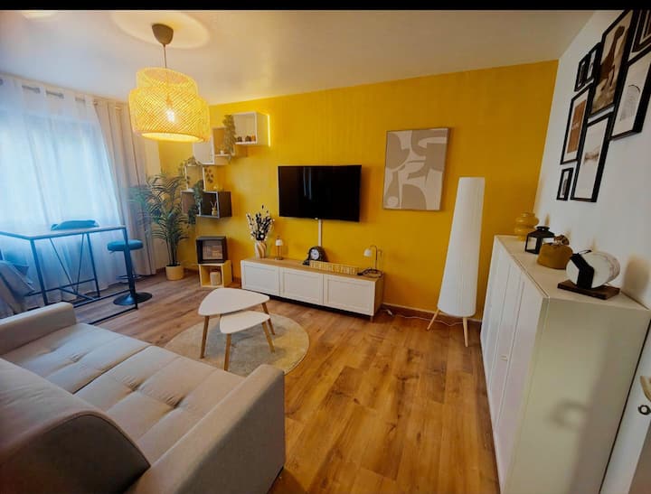 Cosy Studio Renové Collé Frontiere Basel Novartis - Basel