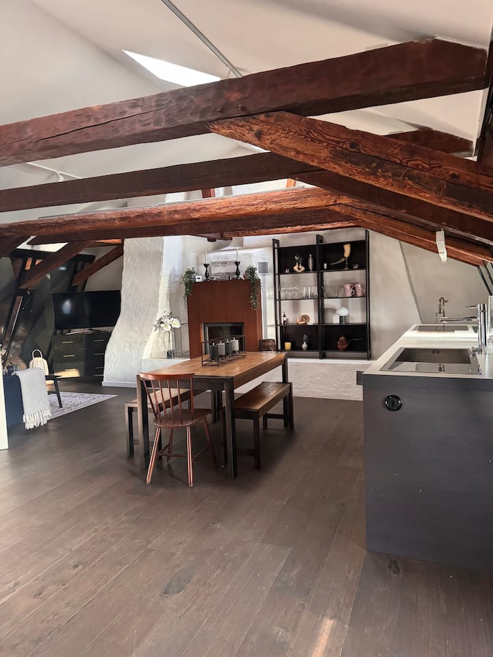 Luxurious Old Town Penthouse - Stockholm