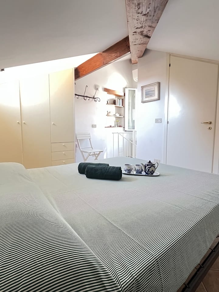 Il Tetragonuro - Imperia