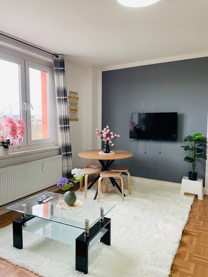 Dresden City Center 2 Room Design Appartement - Dresde