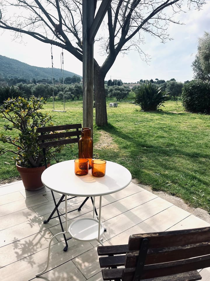 Quiétude Au Milieu Des Oliviers - Le Pradet