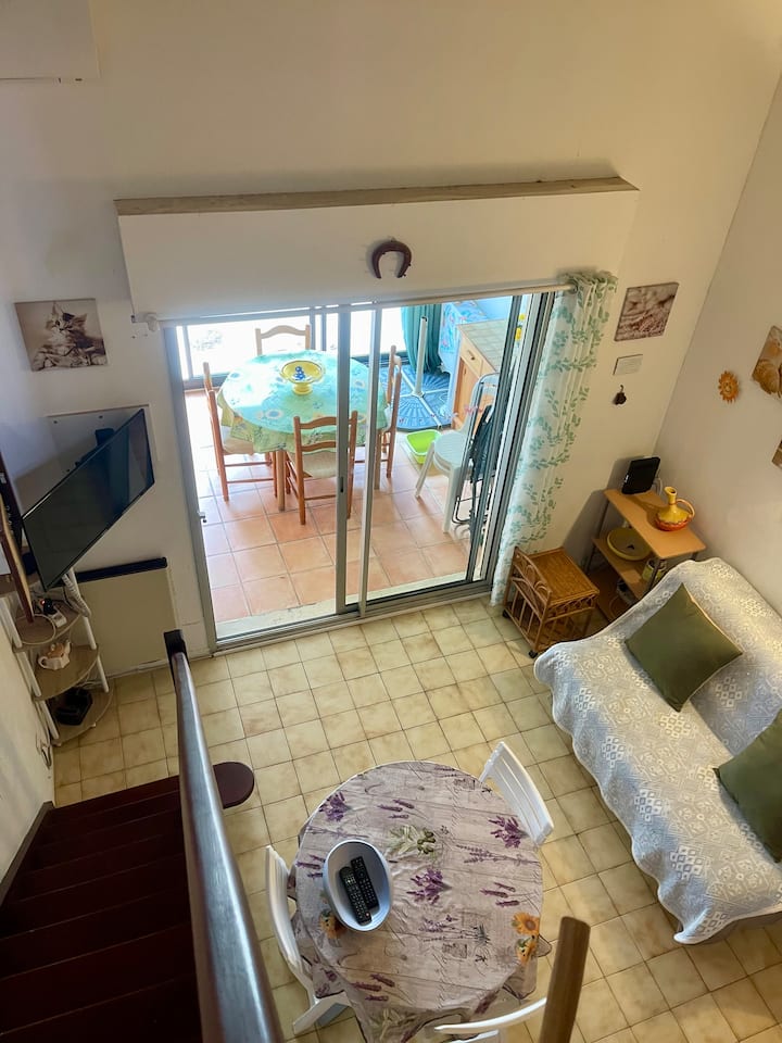 Petite Maison Climatisée-jardin–st Cyprien Plage - Saint-Cyprien