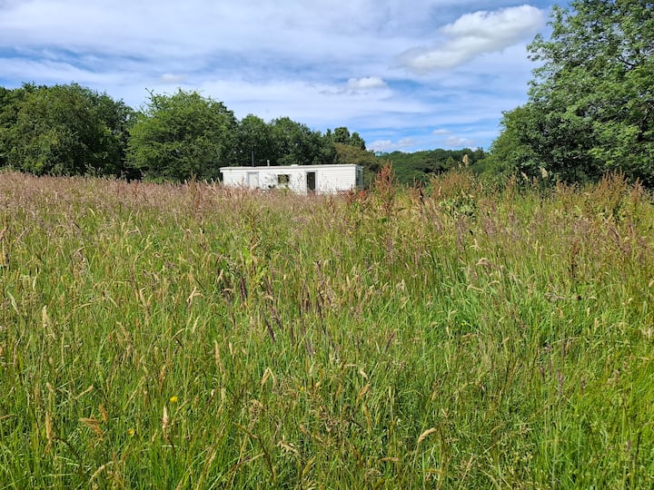 Your Own Nature Filled Meadow- Stars & Simplicity - Devon