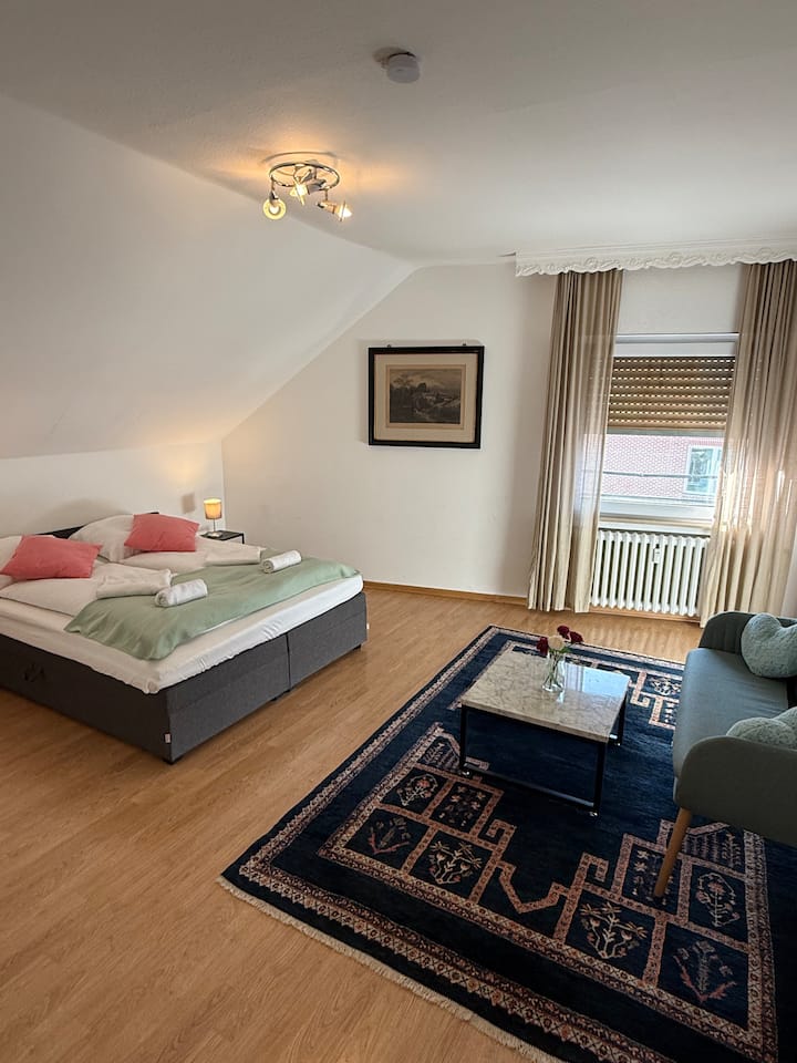 Two-bedroom Apartment With Kitchen Near The Rhine - Cologne