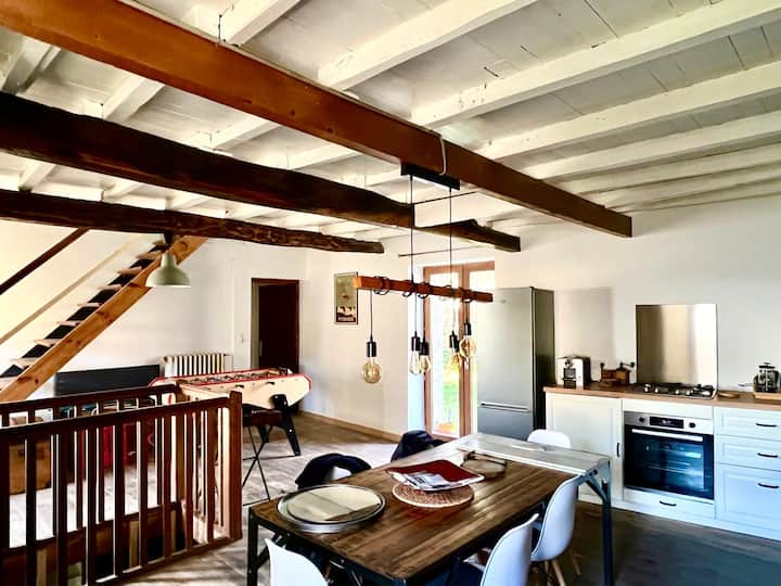 Maison Ancienne Typique à Galey - Le Mourtis