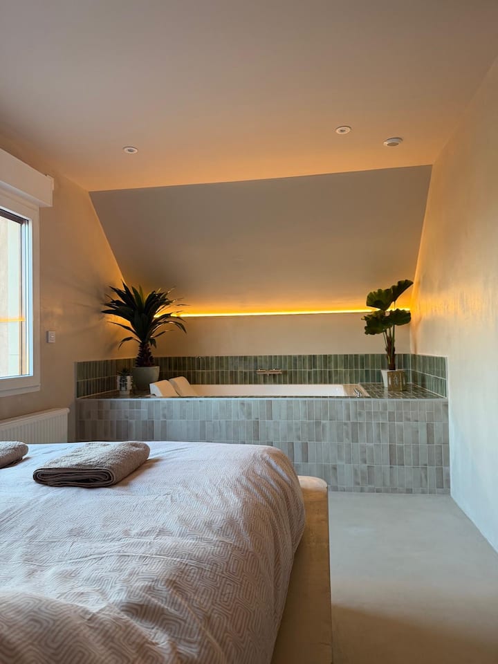 Suite Spa Bien êTre - Fegersheim