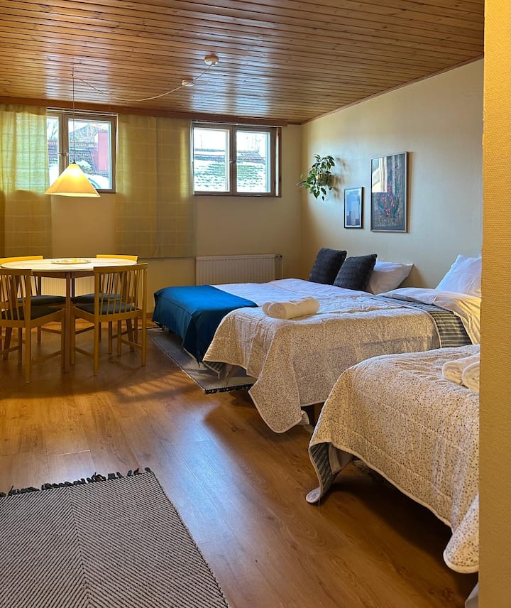 Kodikas Yksiö Lähellä Lahden Keskustaa - Lahti