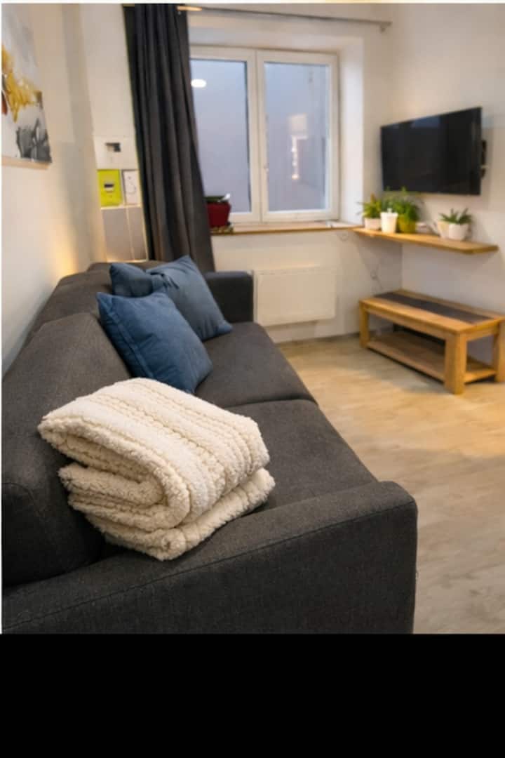 Studio Cosy • Parking Privé • Entrée Autonome - Morteau
