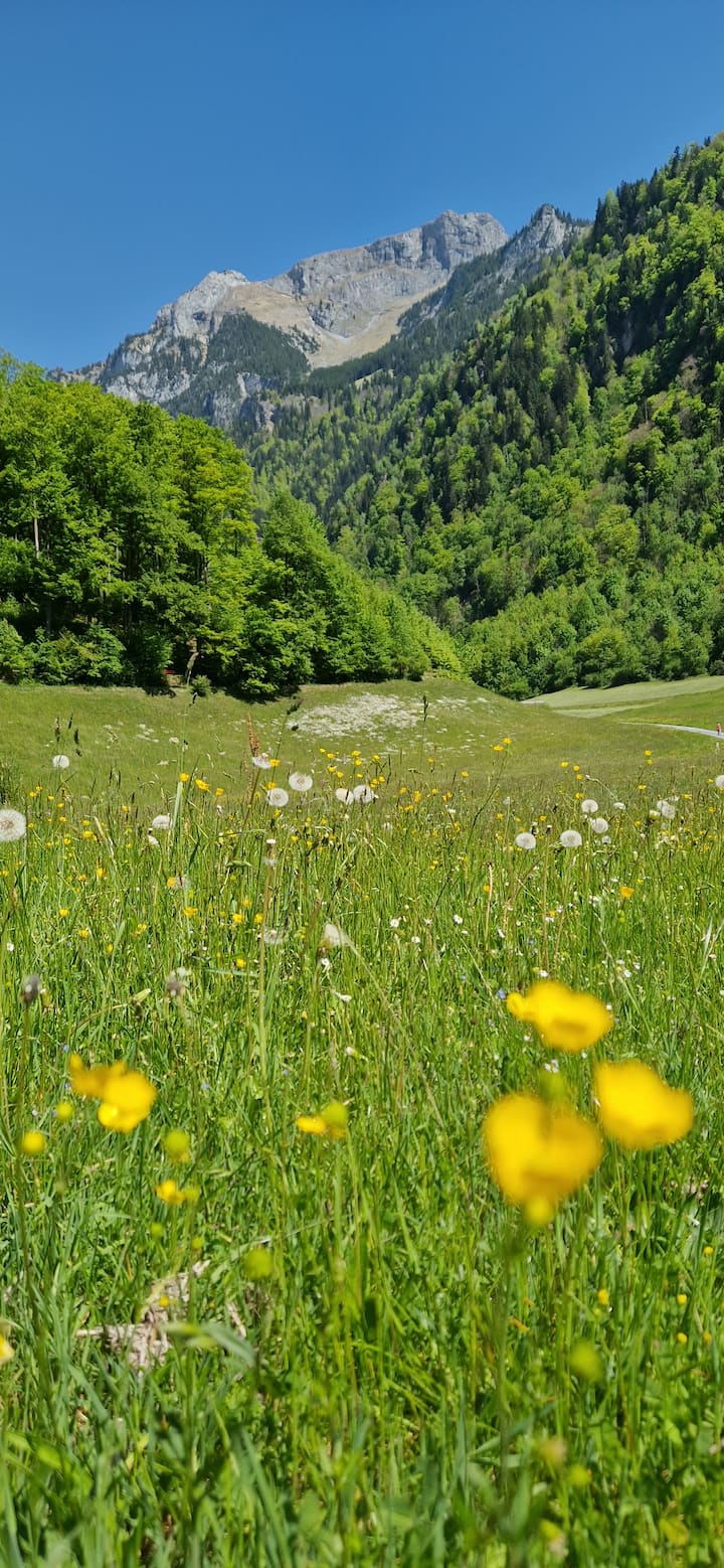 ÜBernachtung Im Uschenriet - Kanton Glarus