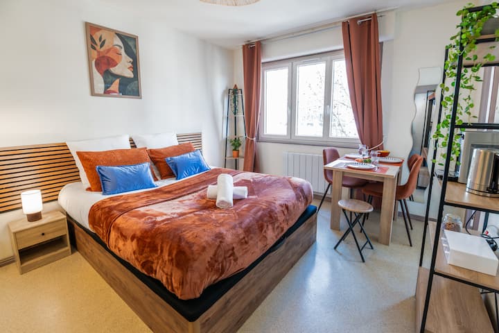 Studio 3 Pers - Proche Gare, Aéroport, Frontière - Blotzheim